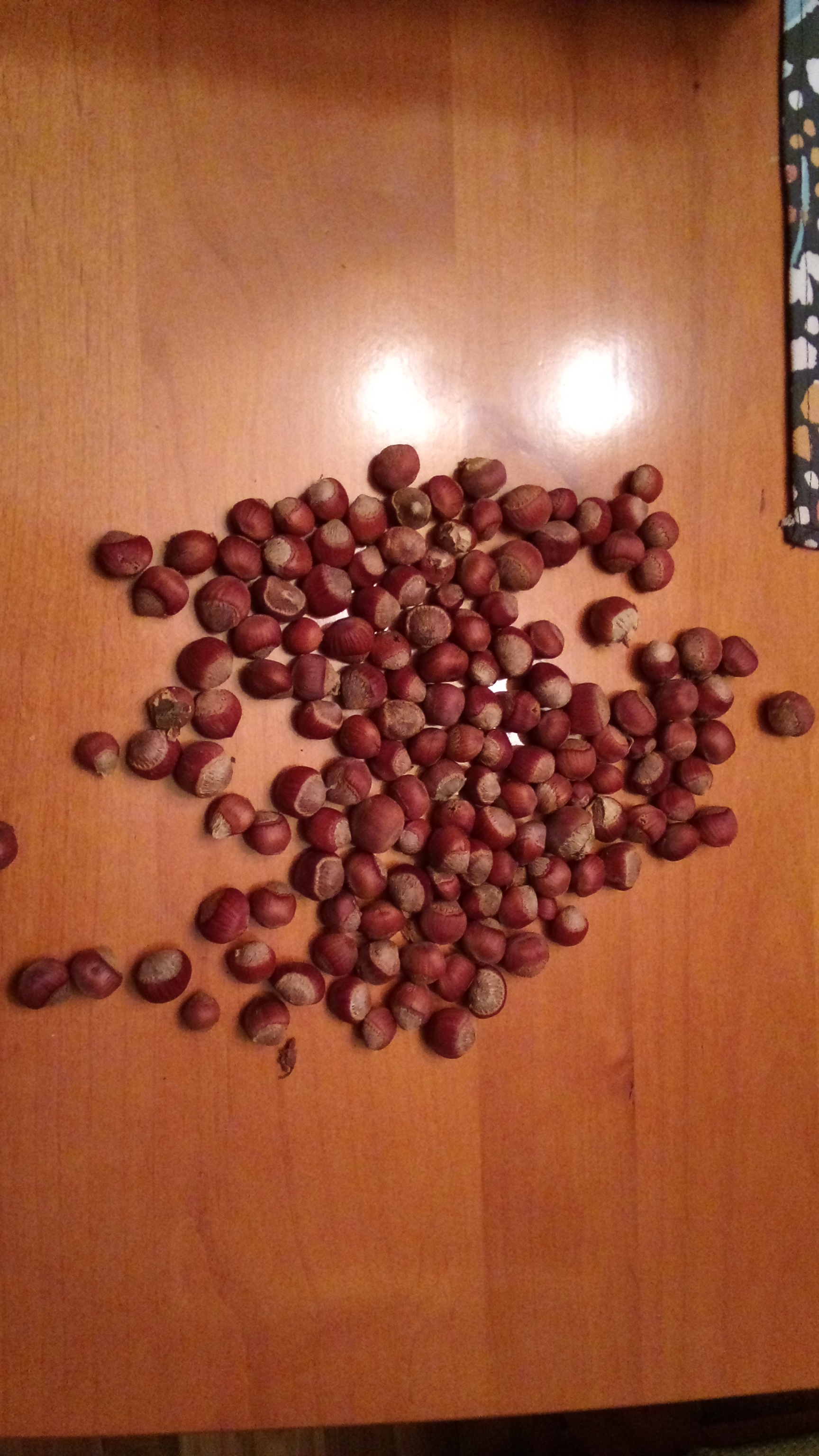 Direct Seed Perennials - PEP BB gardening.straw.perennial (pep ...