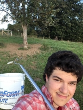 Busa cattle (cattle forum at permies)